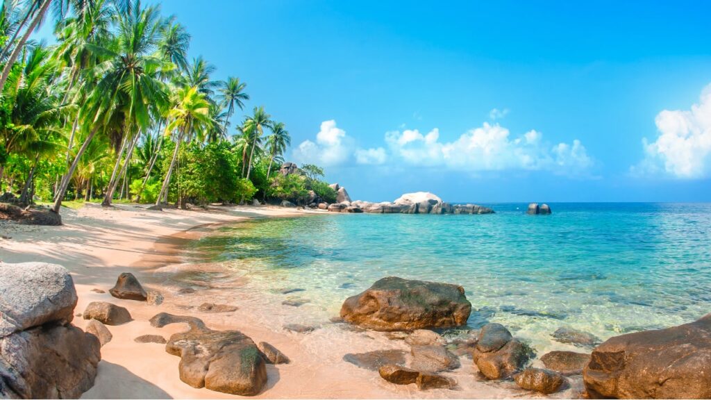 Travel in Style Your Ultimate Packing List for Halal Hotels - Salam Booking